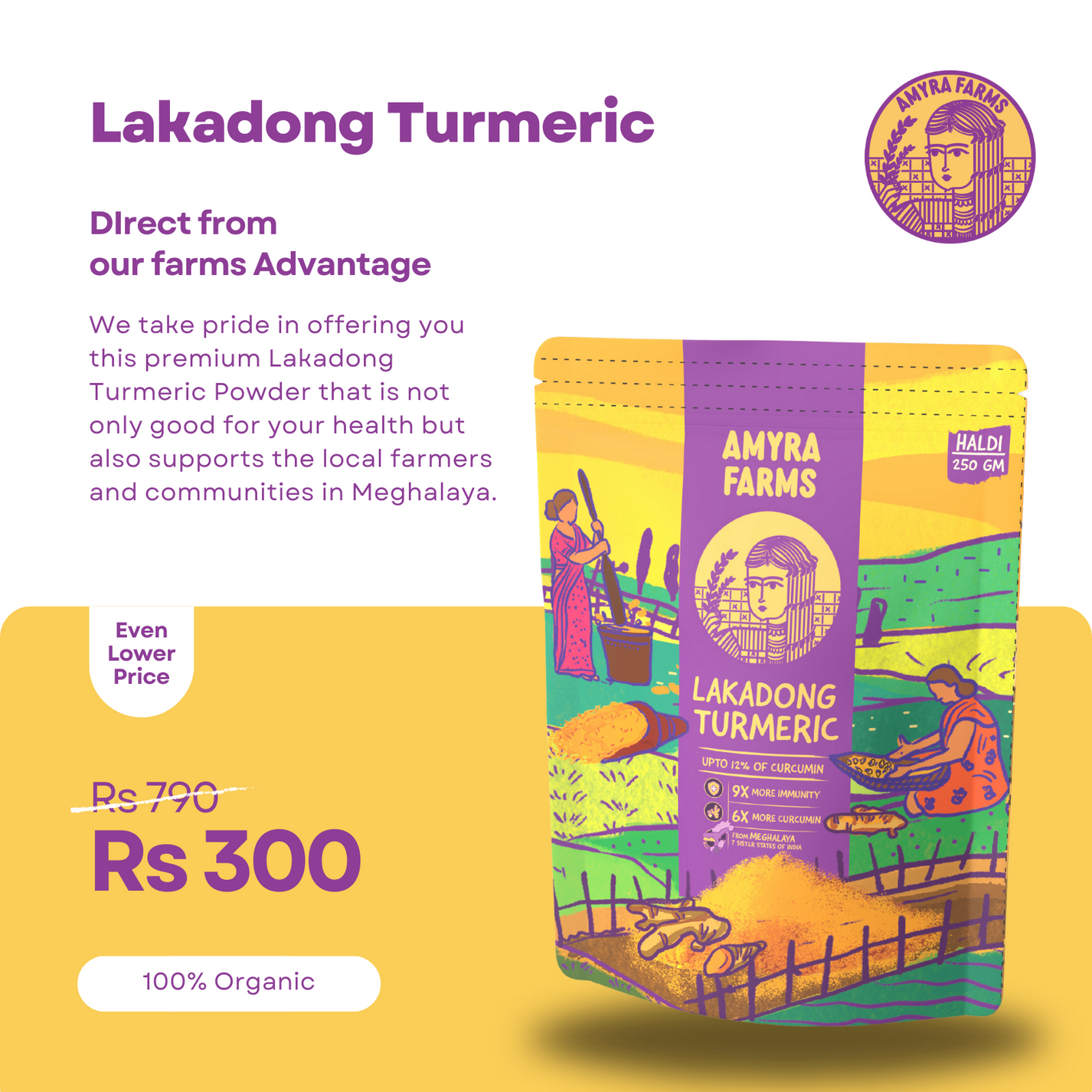 Lakadong Turmeric Powder the wonder spice of Meghalaya – Amyra Farms